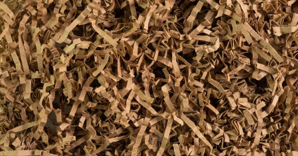 Reasons You Should Shred Cardboard for Compost